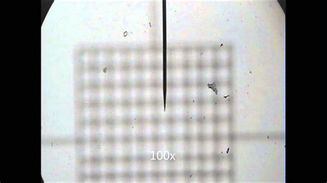 How To Use A Mini Grid Microscope At Alan Matheny Blog
