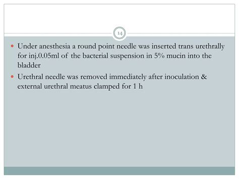 Anti Microbial Screening Models Pptx