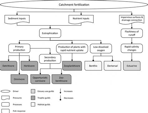 Conceptual Model Depicting Pathways Through Which Catchment Download Scientific Diagram