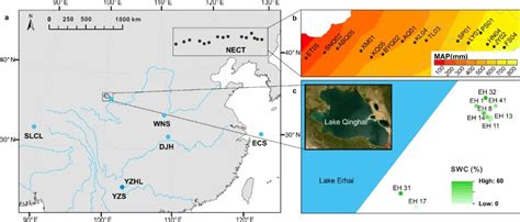 Sbb 谢树成教授团队—水分对土壤和沉积物中古菌结合态脂类的影响及其对微生物储碳的启示 中国地质大学生物地质与环境地质国家重点实验室