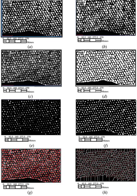 Results Of Each Processing Technique A Image After Pre Processing Download Scientific