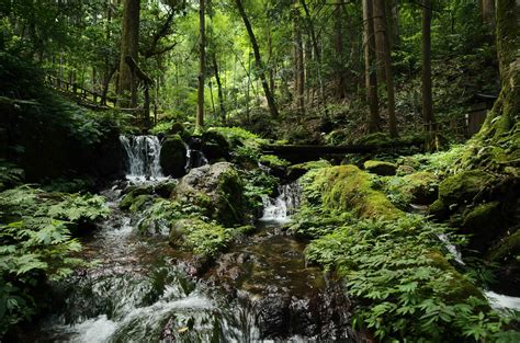 鯖街道を行く⑤ 瓜破の滝 ゆうのひとりごと