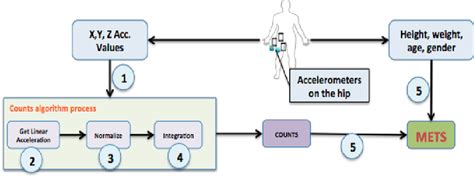 Energy Expenditure Estimation Procedure Download Scientific Diagram