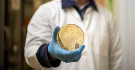 Inside The Light Lab Mapping The Microbiome Metabolism The