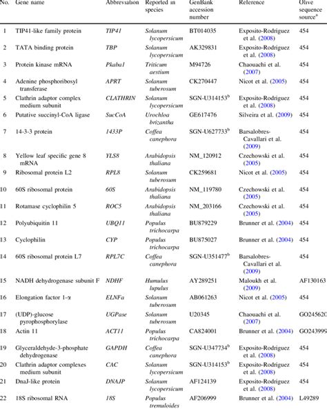 Selection Of 29 Candidate Reference Genes Used For Gene Expression Download Table