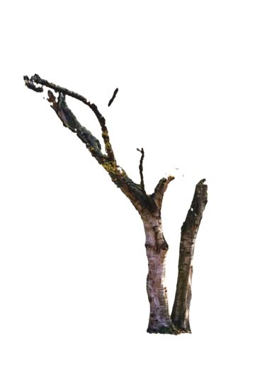 Garden Path Lights PNG Transparent Images Free Download Vector Files Pngtree