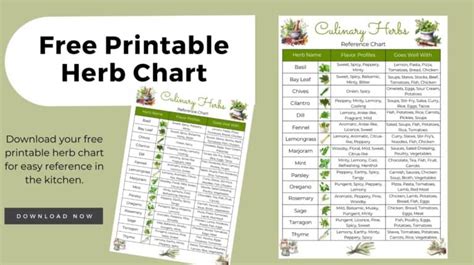 Your Essential Printable Herb Chart An Easy Guide Herb Garden Life