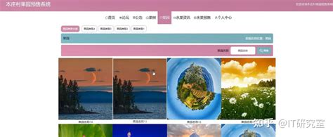 SpringBoot项目怎么做果园预售系统 SpringBoot项目实战 知乎