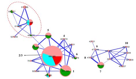 Gnps Molecular Networking Revealing Cluster For Left Download