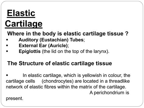 Cartilage Structure And Function Pptx