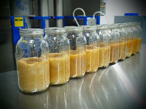 Rapid Analytics 24 Hour Potency Residual Solvent Testing Classifieds