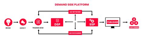 Dsp Dmp Hybrid Model