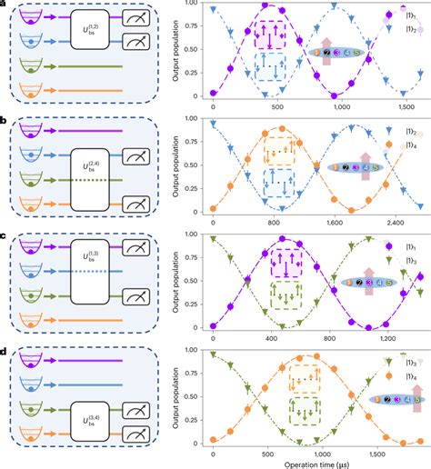 Beam Splitters Ad Experimental Results From The Time Evolution Under