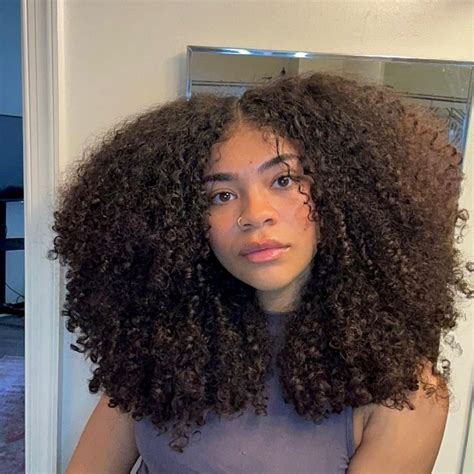 Pin By Valen On 3c Hair Curly Hair Inspiration Beautiful Curly Hair