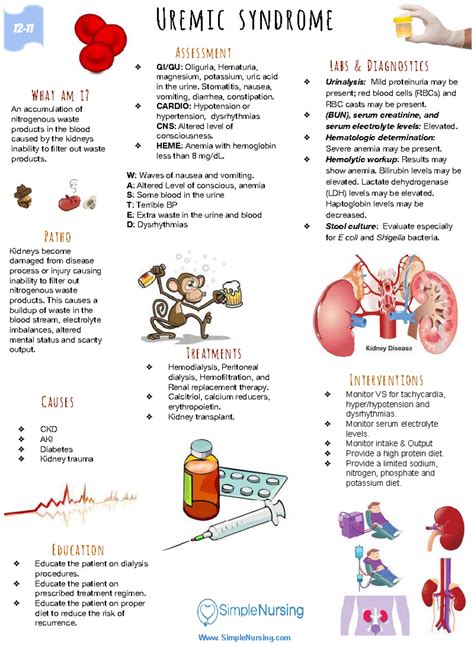 Uremic Syndrome Med Surg 12 11 Uremic Syndrome Simplenursing