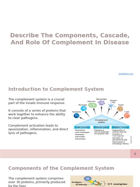 Describe The Components Cascade And Role Of Complement In Disease