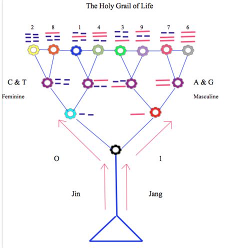 The Ramblings Of The Rose The Hexagrams Of The I Ching And DNA Codons