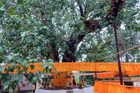 သမိုင်းဝင်ကျိုက္ကလော့စေတီတော်၏ ၆၀ ကြိမ်မြောက် ဗောဓိပူဇာ ကဆုန်ညောင်ရေသွန်း ပွဲတော်ကို စည်ကားသိုက