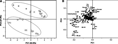 Pca Score A And Loading B Plots From 1 H Nmr Spectra Of The