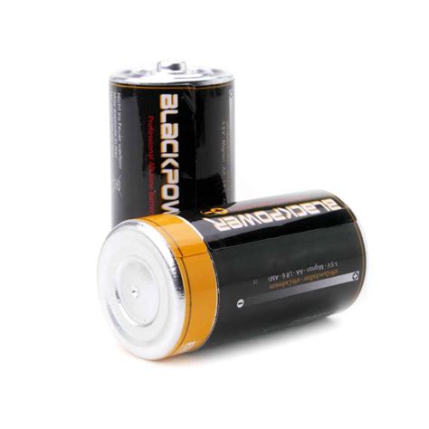 Secret Battery Type C Stash Hidden Storage Party Accessory