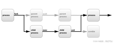 Linux：进程与计划任务