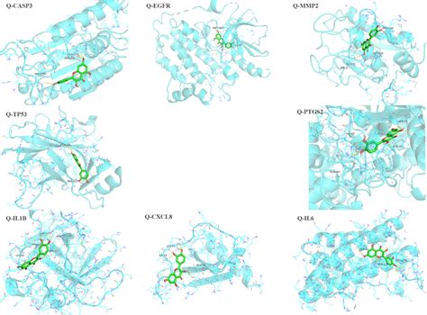 Visualized Results For Molecular Docking Download Scientific Diagram