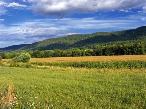 Free Images Landscape Tree Nature Horizon Wilderness Mountain