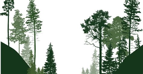 Презентація Природні зони України мішані та широколисті ліси