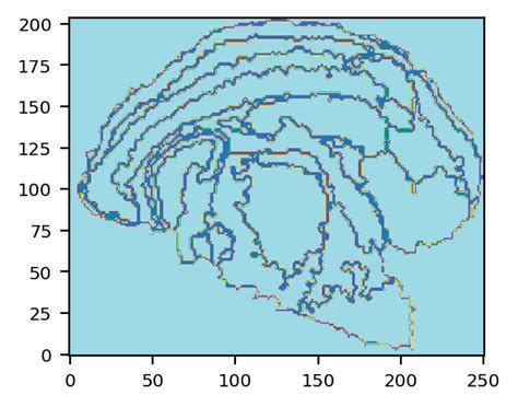 2combined Visualization Of Domains And Segmented Cells Spateo