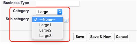 field dependencies in salesforce salesforce tutorials