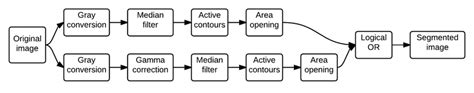 Block Diagram Segmentation Algorithm Download Scientific Diagram