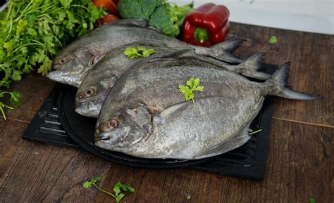 Premium Photo Pomfret Fish Black