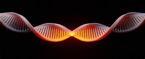 3d Render Helix Complementary Strand Of Dna Of Rna Sequences Genetic Code Or Genome Gene