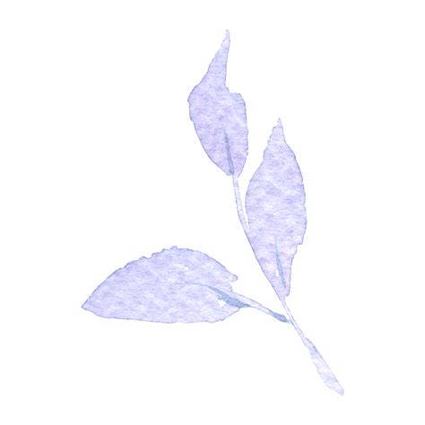 Violet Flower Watercolor Collection Png