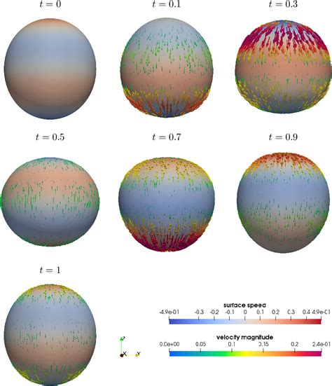 Figure 61 From Tangential Navier Stokes Equations On Evolving Surfaces Analysis And