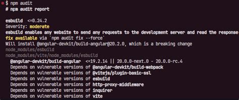 The Complete Developers Guide To Npm Audit Securing Your Nodejs