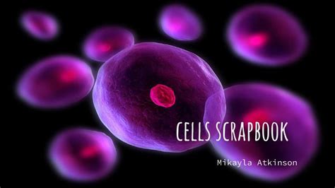 Cell Scrapbook By Mikayla Atkinson Flipsnack