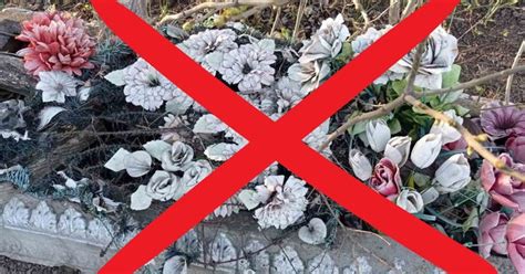 Скажіть залізне ні пластиковим квітам Чому штучні квіти дорожчі від живих розрахунок