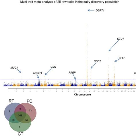Summary Of Multi Trait Meta Analysis Of 25 Raw Traits Rts In The