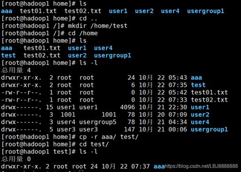 Linux的实际操作：文件目录类的实用指令（touch Cp）securecrt中touch的txt文件在哪 Csdn博客