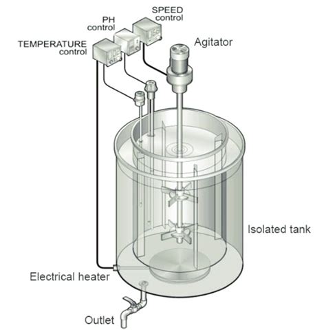 Enzymatic Extractor Download Scientific Diagram