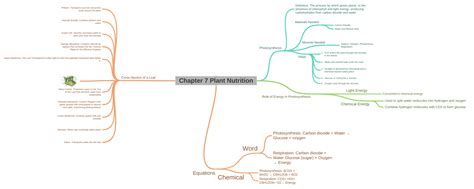 Chapter 7 Plant Nutrition Coggle Diagram