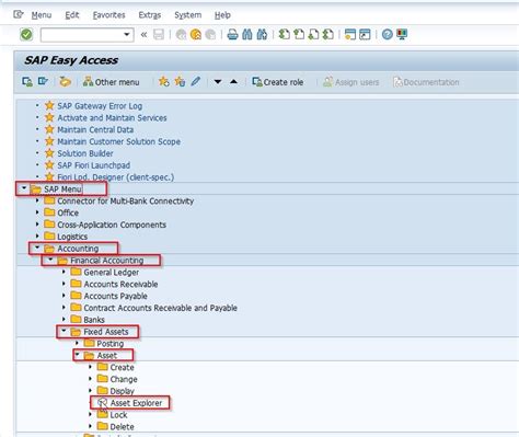 T Code AW N Display Asset Values