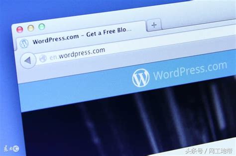 世界上最好的开发语言PHP 开源CMS大比拼 开发技术 softtest 软件测试网