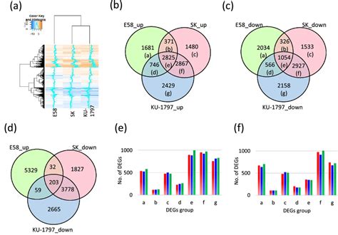 Differentially Expressed Genes Degs In Response To Salt Stress In