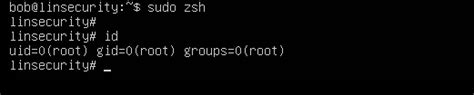 一份完整指南：如何在 Linux 中使用 “sudo“ 命令提权？sudo如何终端提权 Csdn博客