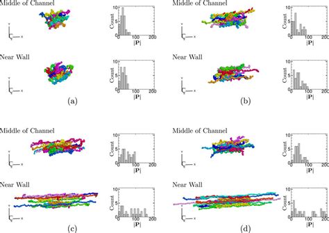 The Snapshots Of Polymer Conformation And The Distributions Of Download Scientific Diagram