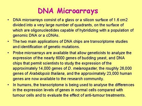 Dna Technology And Applications 4 Genome Function If
