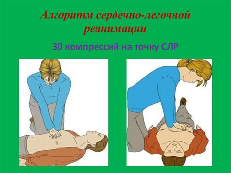 Алгоритм сердечно легочной реанимации презентация онлайн