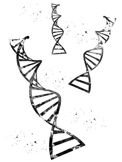 Dna Double Helix Drawing Free Download On ClipArtMag